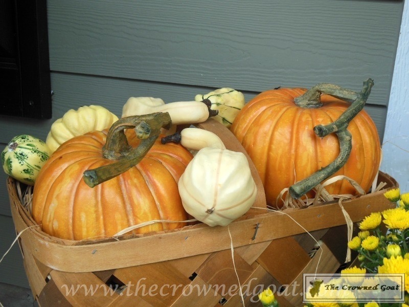 15 Ways to Ease into Fall