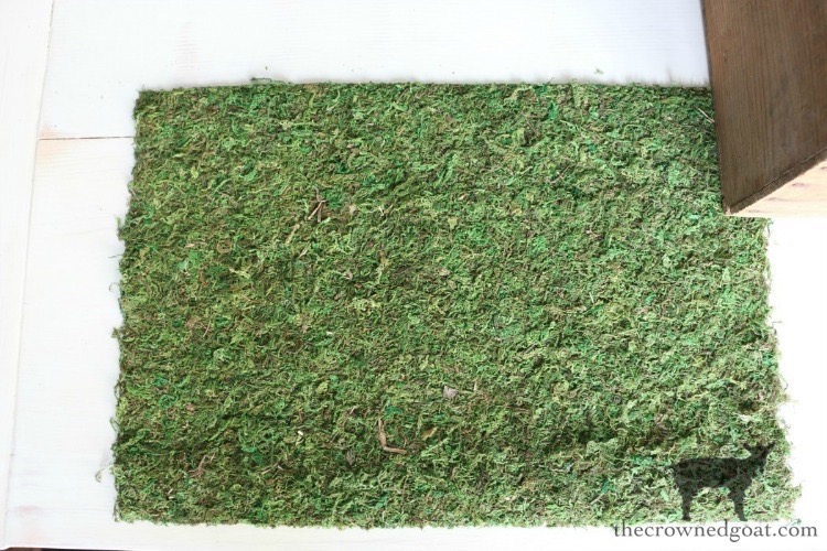 The Easiest Way to Make Moss Placemats