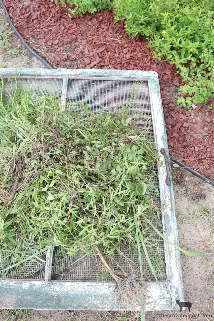 How to Make a Plant Tray from an Old Window