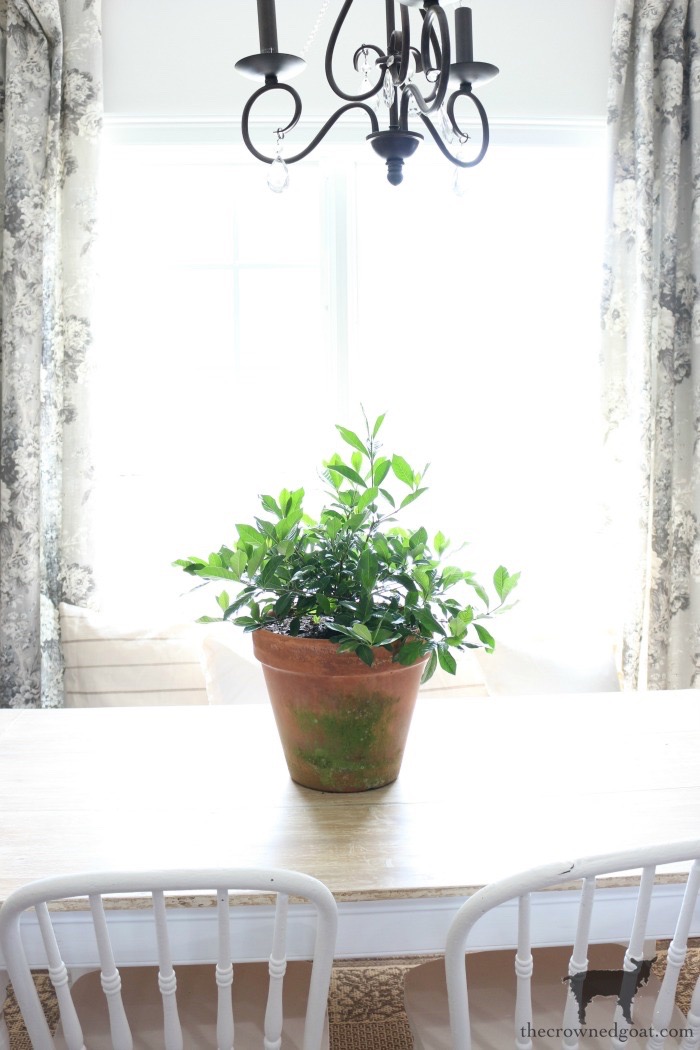 Easy Tabletop Vignette Ideas