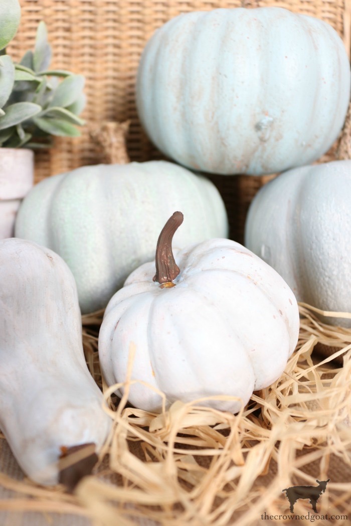 Make Your Own Heirloom Pumpkins