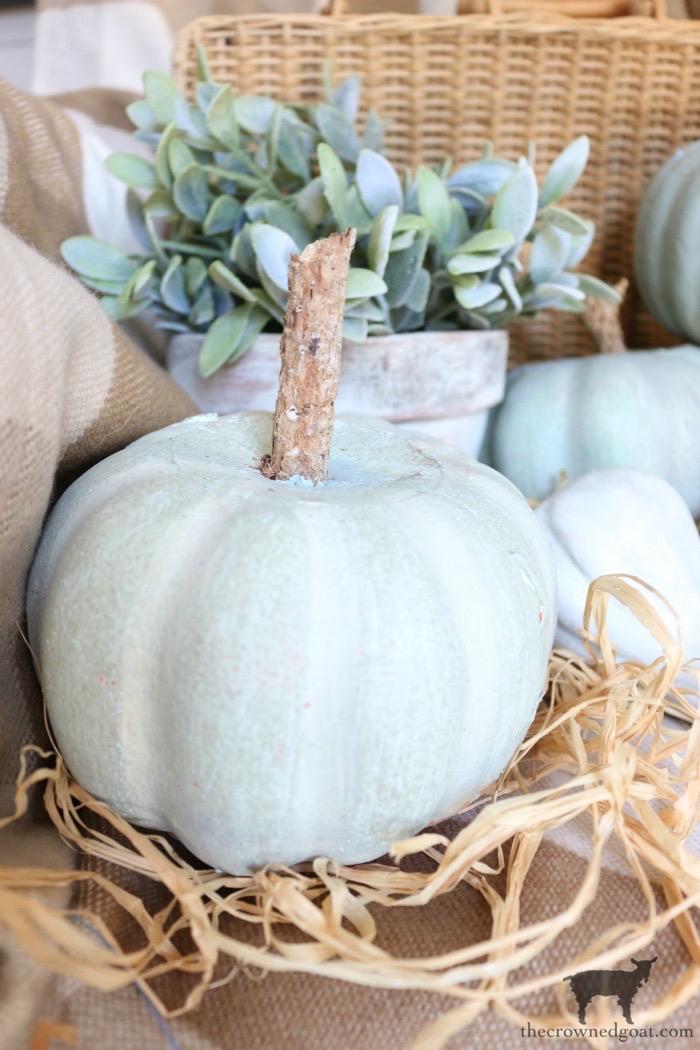 Make Your Own Heirloom Pumpkins