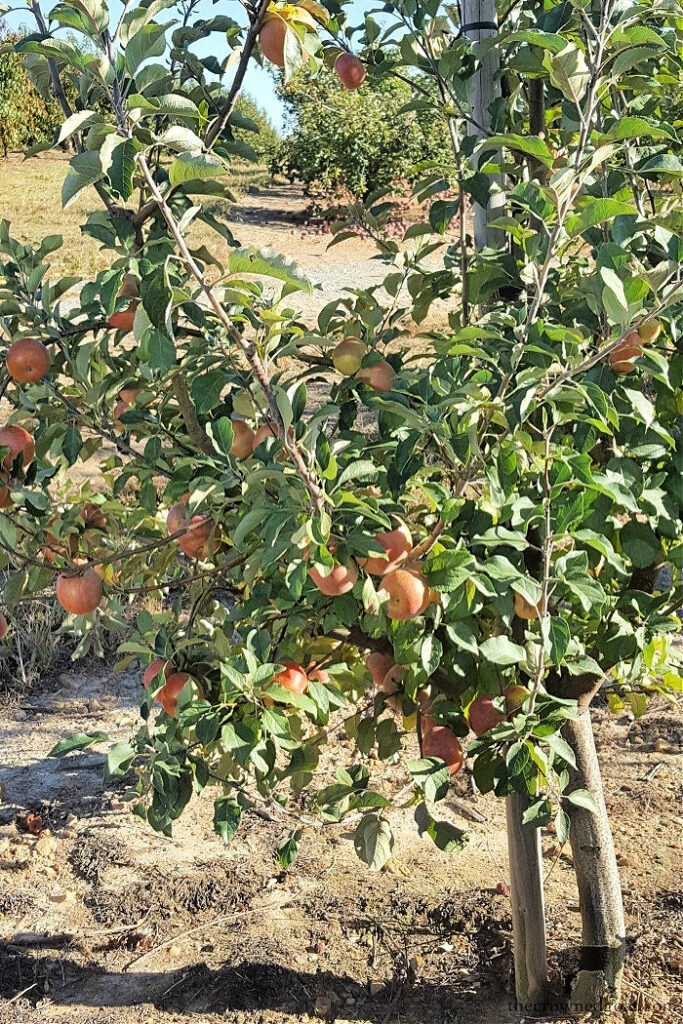 17 Ways to Ease into Fall