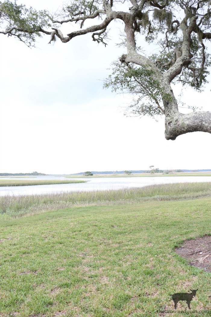 From the Front Porch