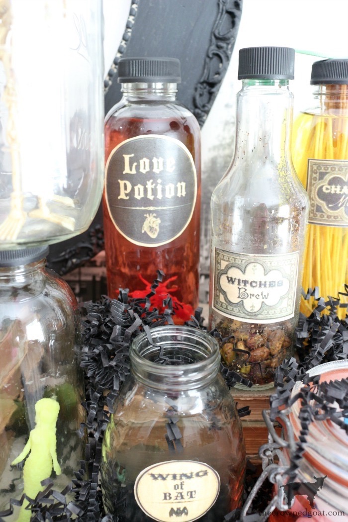 How to Create a Spooky Curiosity Cabinet
