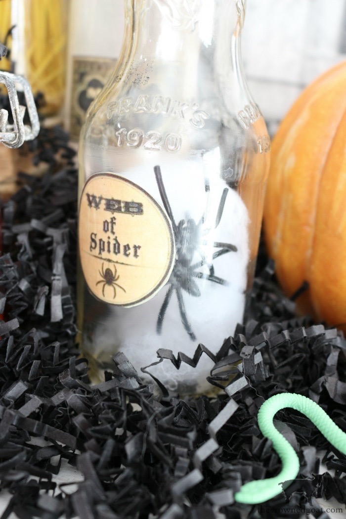 How to Create a Spooky Curiosity Cabinet