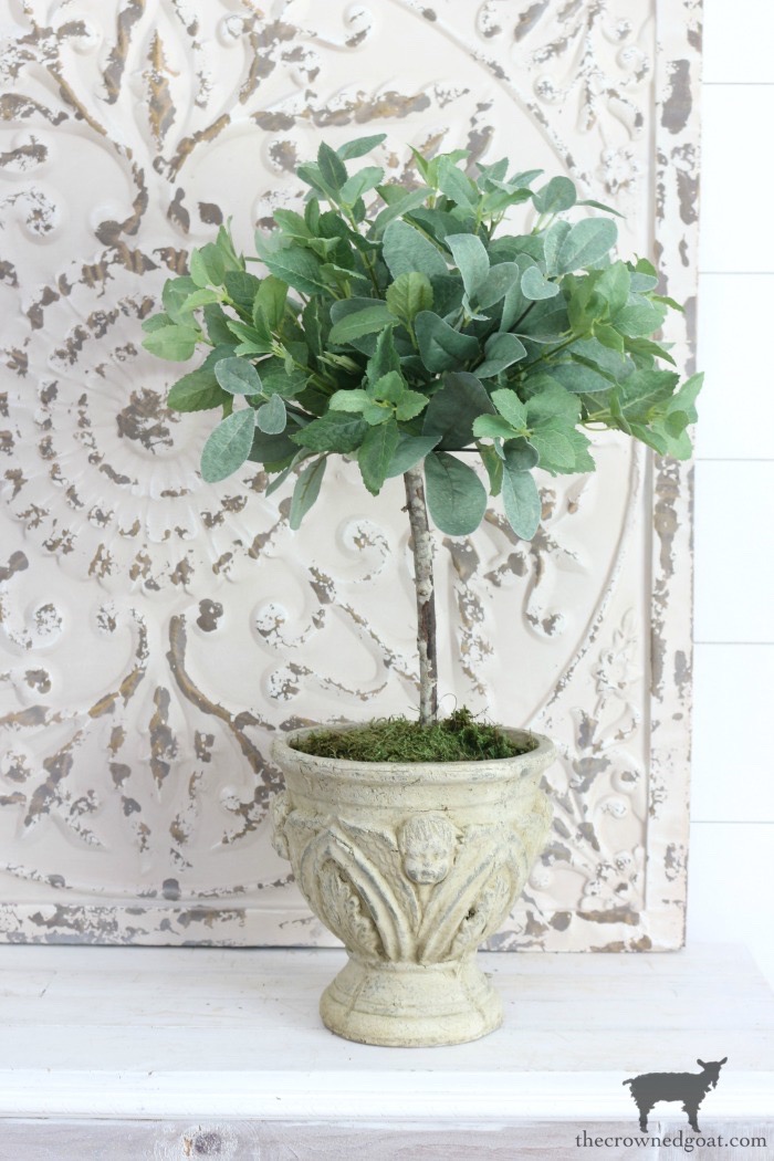 Quick & Easy 5 Minute Topiary