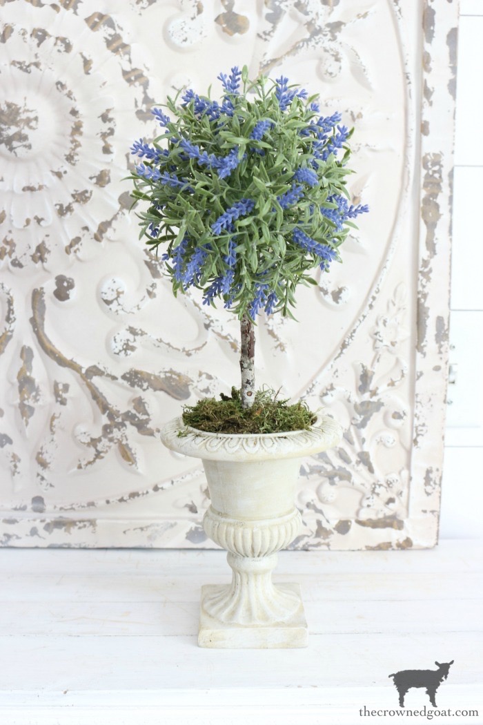 Quick & Easy 5 Minute Topiary