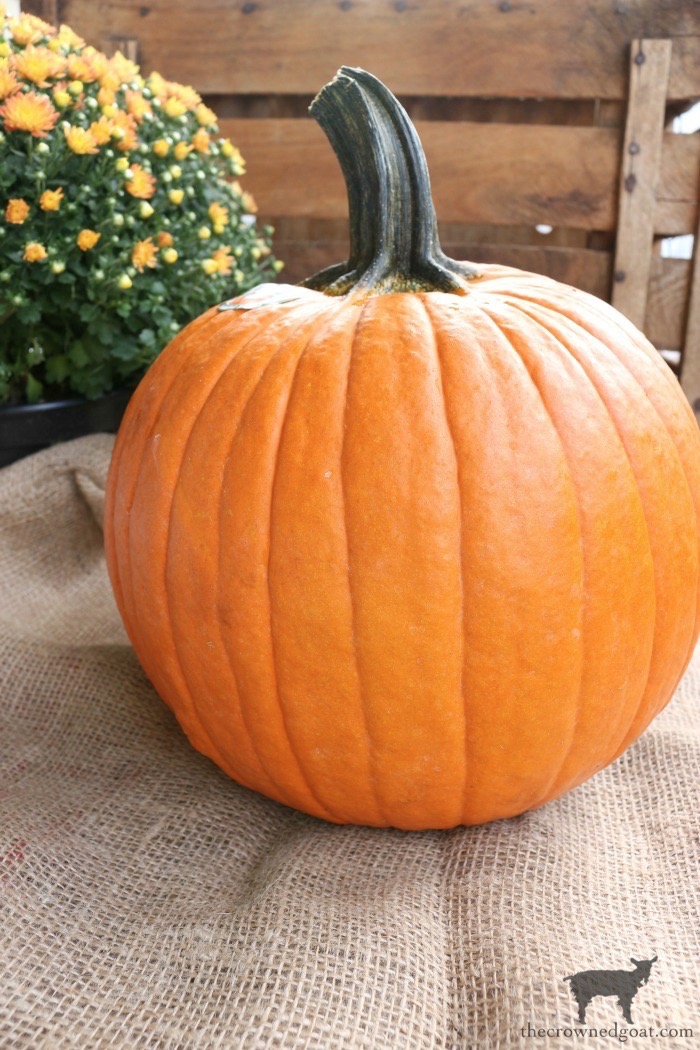 How to Personalize Pumpkins with Paint