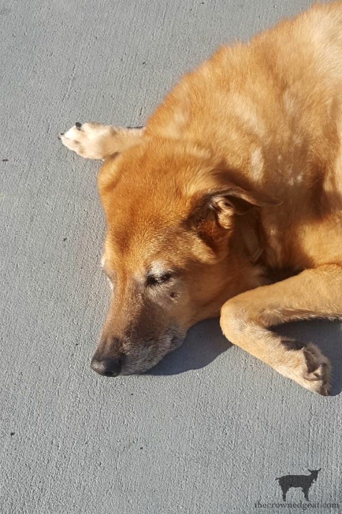 The Art of Letting Go...