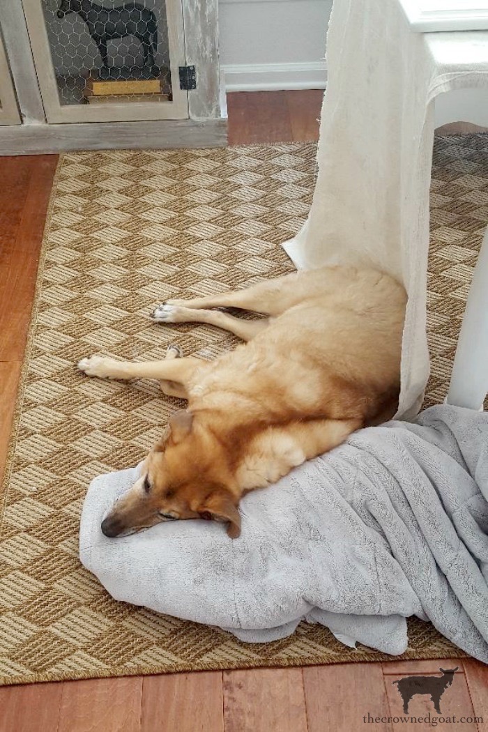 The Art of Letting Go...