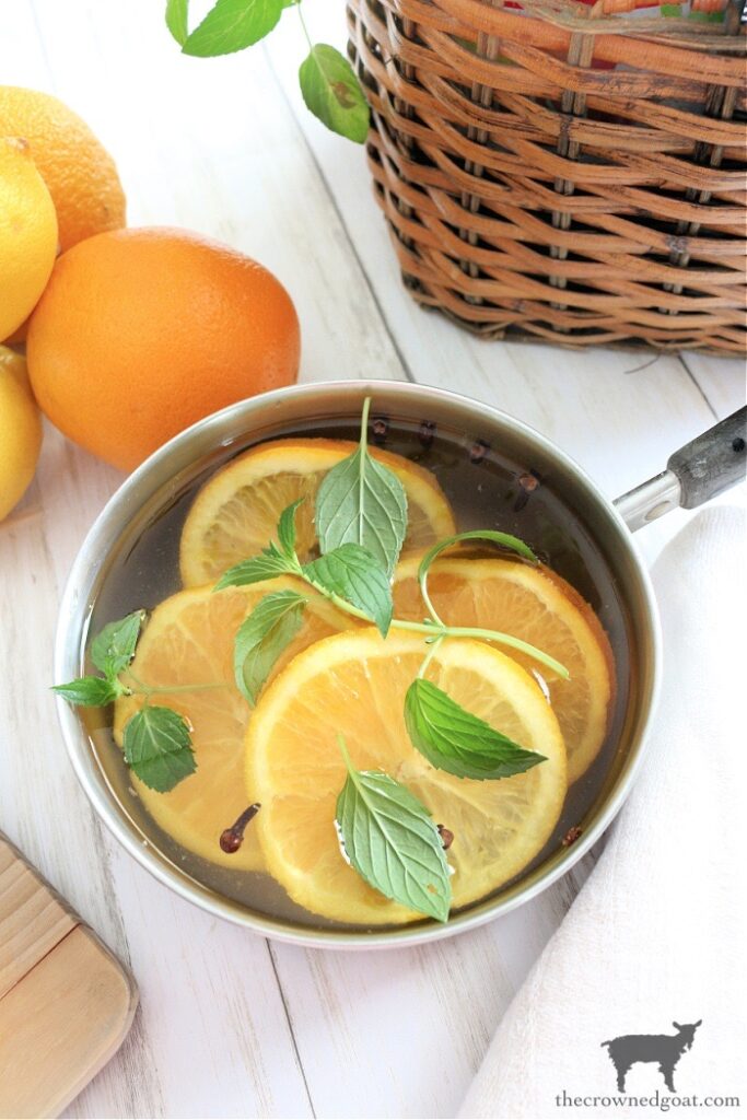 10 Citrus Inspired Simmer Pot Recipes