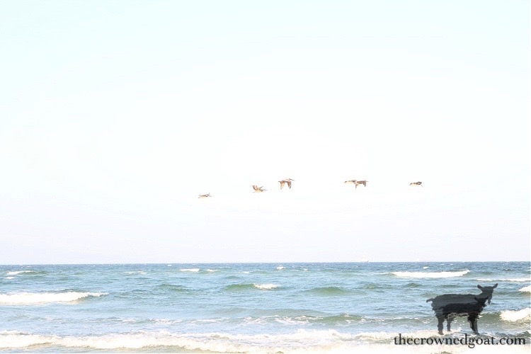Simple Pleasures to Enjoy This Summer...