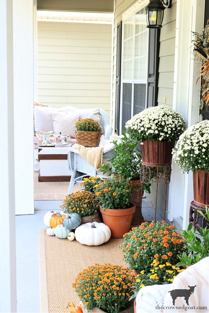 Fall Wreaths & Autumn Inspired Door Décor