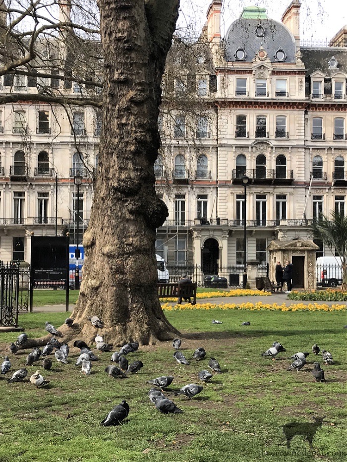 French Country Summer Bucket List