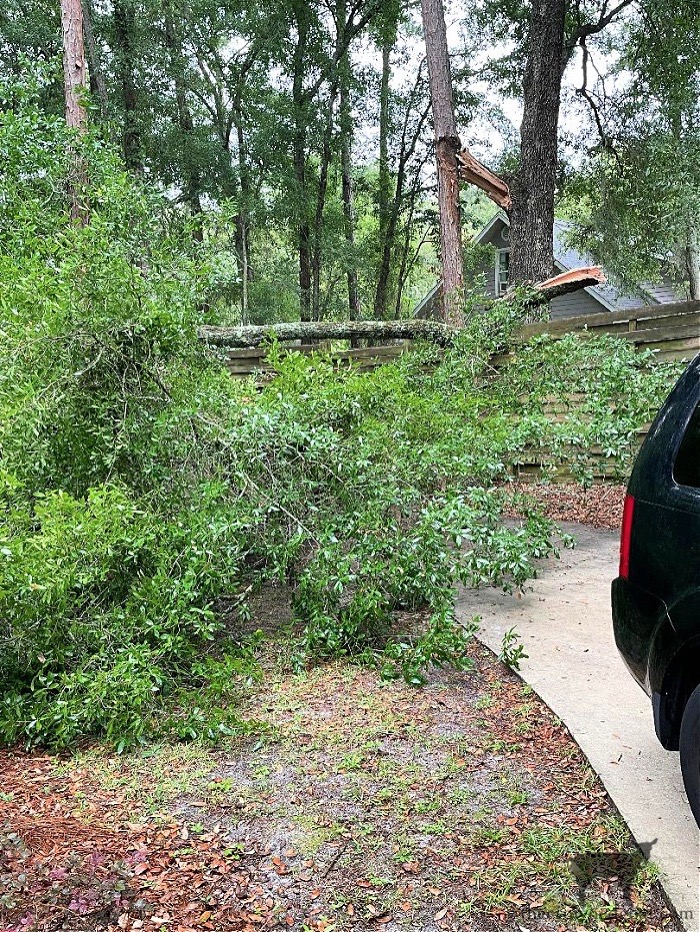 From the Front Porch