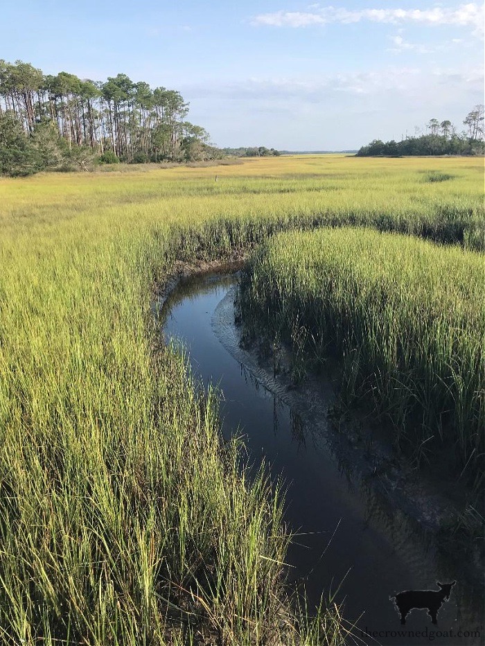 From the Front Porch