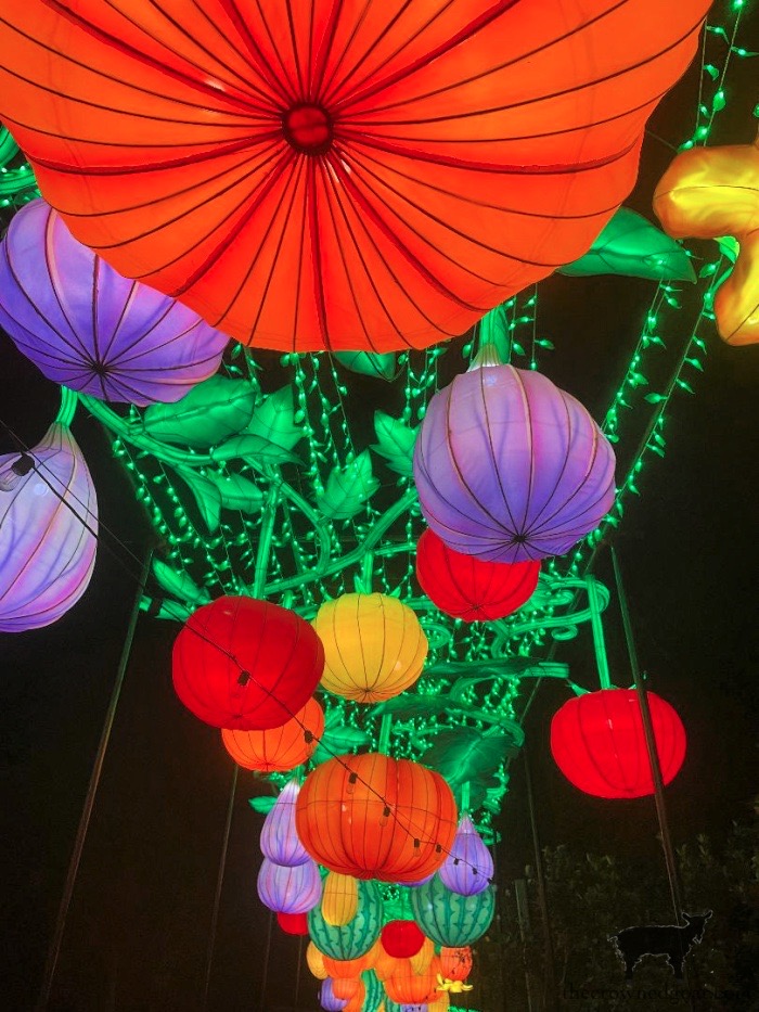 On Expectations and Letting Go...