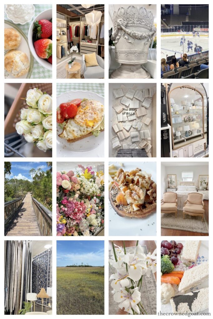 Habits for Purposeful Living Challenge: Week Five Recap